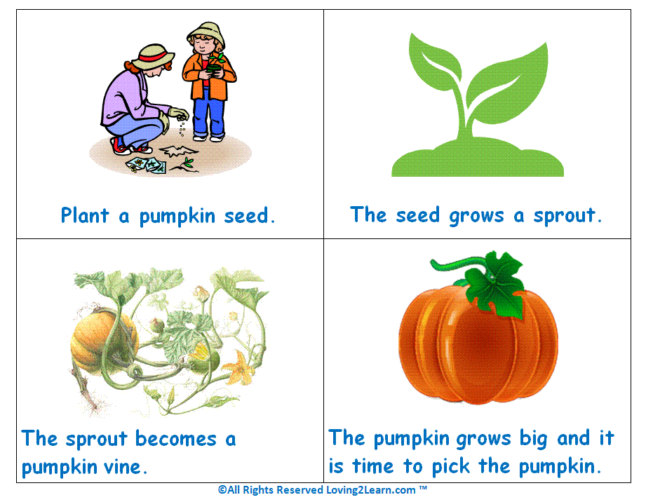 Kids Sequencing Games: Growing a Pumpkin Sequencing Game