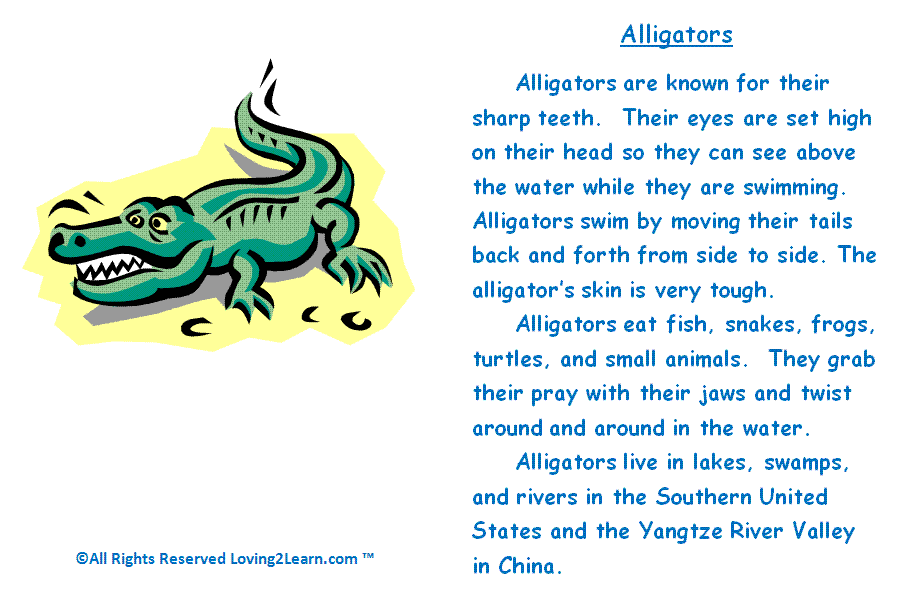 Discover and Read Nonfiction: Alligators and Learning about Alligators ...