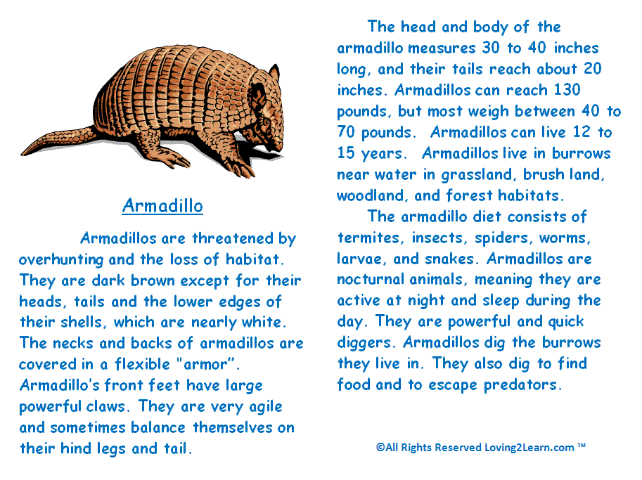 Discover and Read Nonfiction: Armadillos and Learning about Armadillos Video