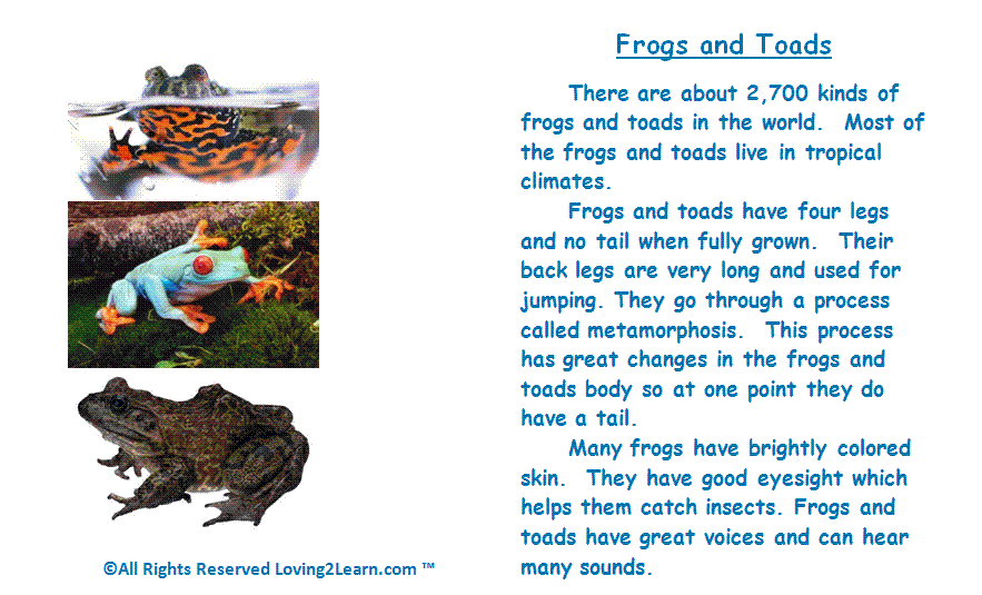 Discover and Read Nonfiction: Frogs and Toads and Learning about Frogs ...