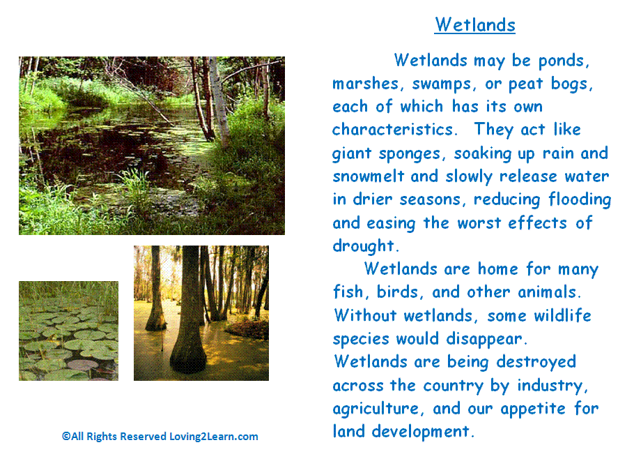 Discover and Read Nonfiction: The Wetlands and Learning Videos