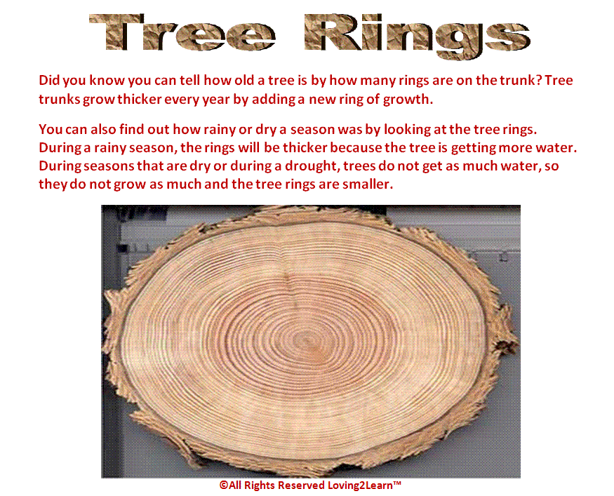 Challenges - Charts - Science Charts - Tree Rings