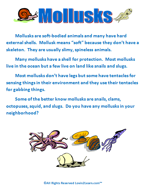 Super Subjects - Super Science - Life Science - Animal Groups - Mollusks