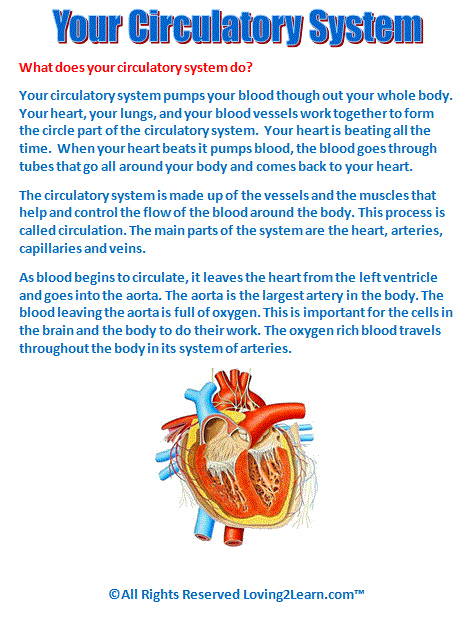 Super Subjects - Super Science - Life Science - The Human Body - Your ...