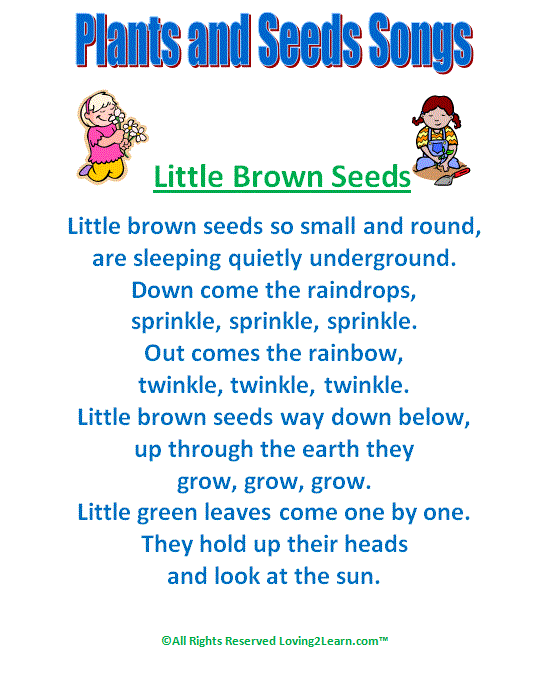 Super Subjects - Super Science - Life Science - Seeds Plants and Trees ...